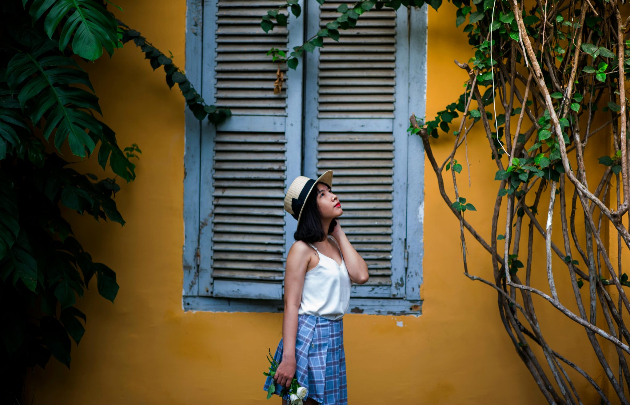 Backyard Vineyard Ideas for Small Spaces: Make Every Grape Count - The ...