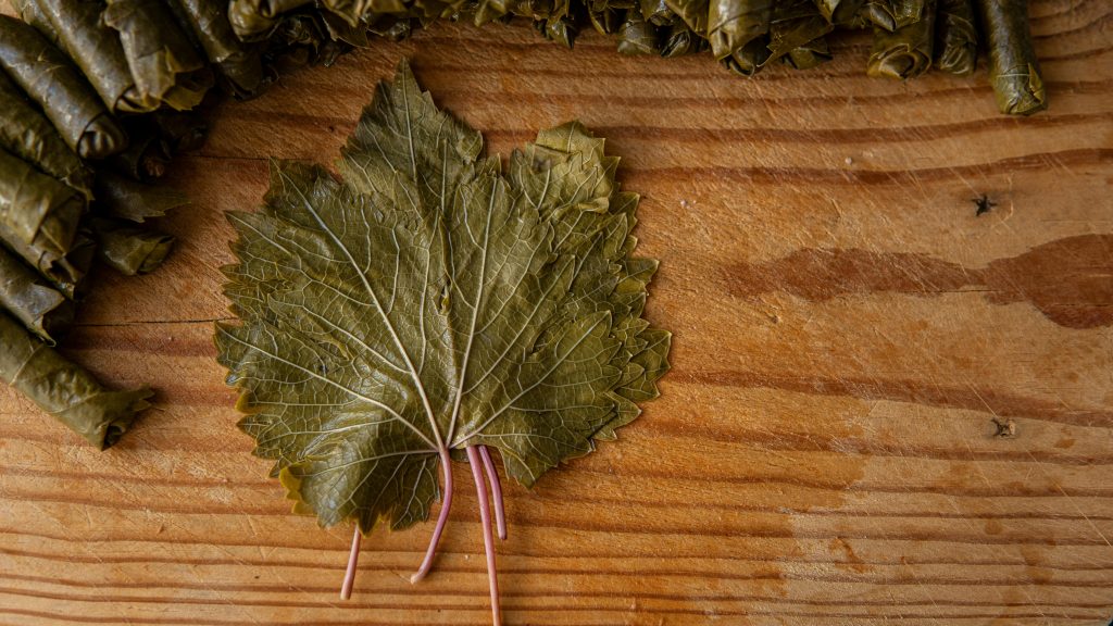 What Are Wine Leaves Good For? The Surprising Benefits and Uses - The ...