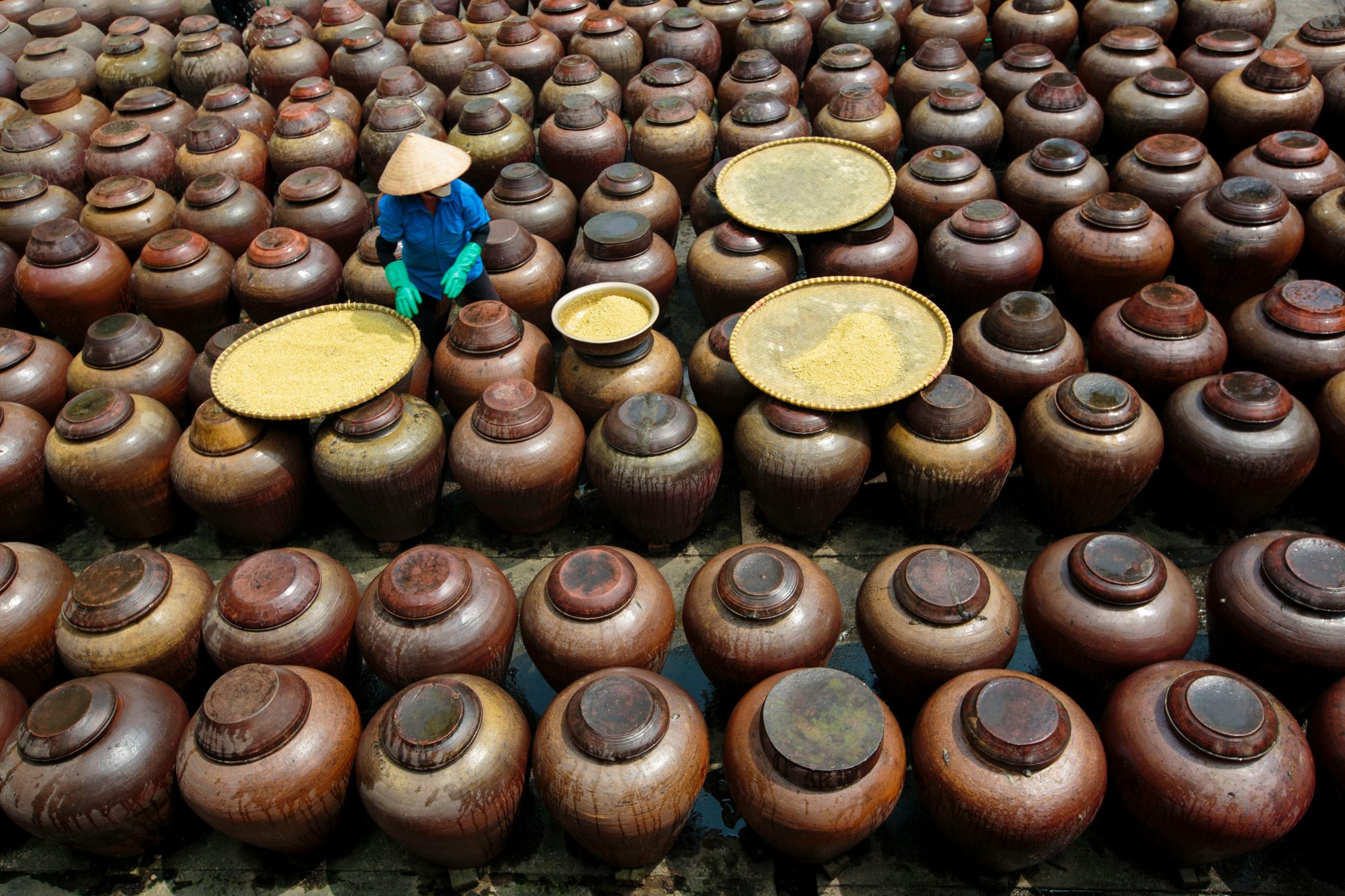 What You Need to Know About Rice Wine - The Little Cellar Wine Company