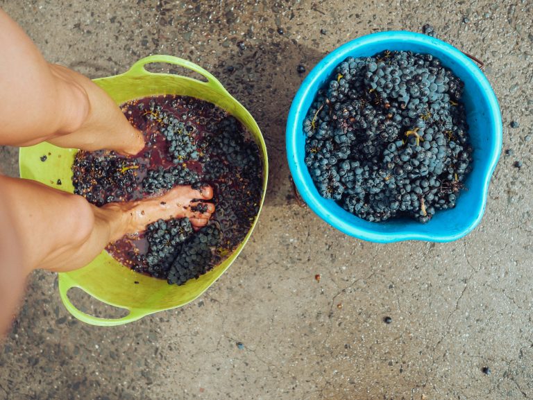 Is Pinot Noir Red or White? Understanding This Popular Grape Variety ...