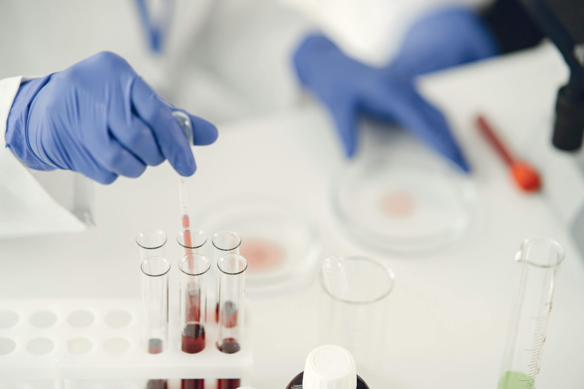 Not Just Sulphites: Uncovering the Invisible Additives in Modern Wines ...